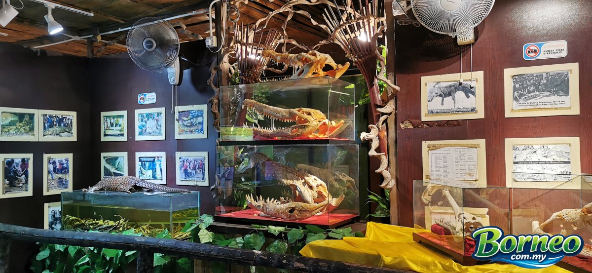 Jong’s Crocodile Farm & Zoo @ Kuching - BORNEO.COM.MY - Discover the ...